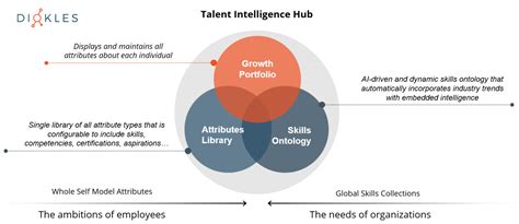 Sap Successfactors Talent Intelligence Hub Diokles