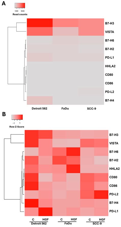 IJMS Free Full Text Differential Immune Checkpoint Protein