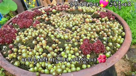 🤗집안 구석구석 나의보물이 숨겨져 있어요~🫣 Youtube