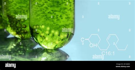 Algae Fuel Biofuel Industry Lab Researching For Alternative To Fossil