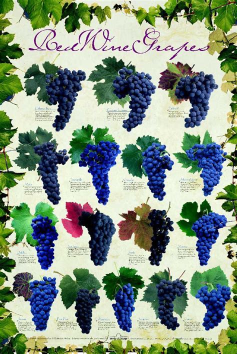 Blends Wine Udn