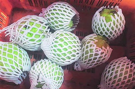 Latest Marathi News Breaking News Today Read Marathi Batmya From