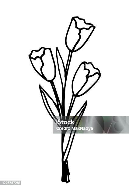 손으로 그린 간단한 벡터 그림 봄 꽃 흰색 배경에 고립 된 튤립 꽃다발 엽서 인쇄물 3월 8일 어머니의 날 부활절 0명에 대한