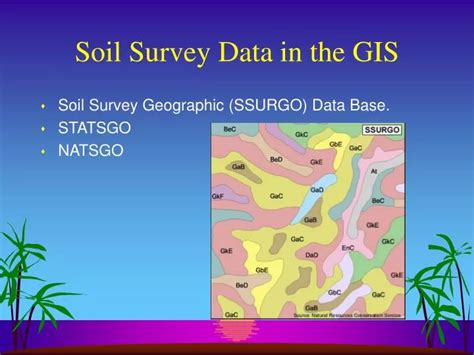 PPT Soil Survey Data In The GIS PowerPoint Presentation Free Download ID 1482500