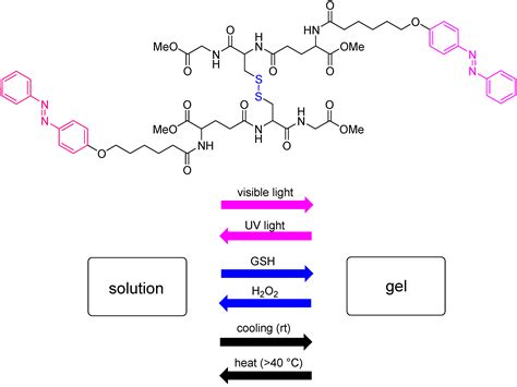 Peptide Based Supramolecular Hydrogels As Drug Delivery Agents Recent
