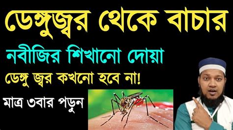 ডেঙ্গু থেকে বাঁচার দোয়া ডেঙ্গু জ্বর থেকে বাঁচার দোয়া ডেঙ্গু মশা