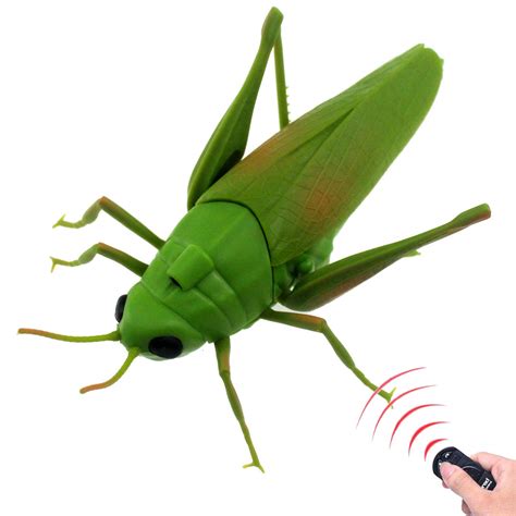 Grasshopper Flying