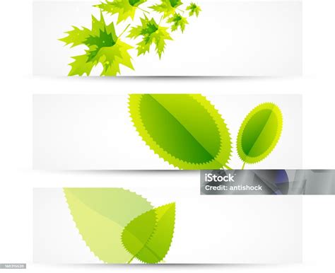 Vector Leaf Banners向量圖形及更多乾淨圖片 乾淨 互聯網 光線充足 Istock