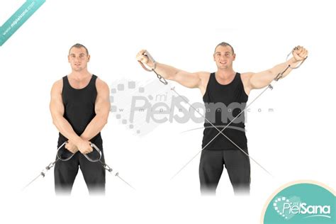 Reverse Grip Preacher Curl