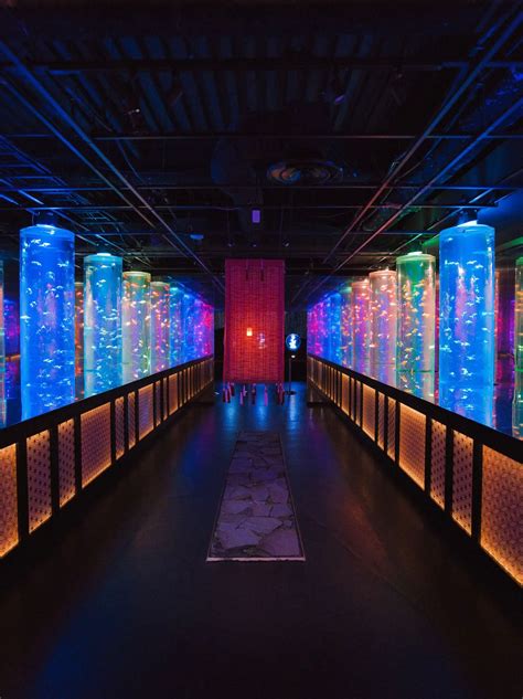 【東京】雨の日でも楽しめる 藤×紫陽花×金魚のアートな世界を体験😍※撮影の楽しみ方付 Tenpaland📸 ️が投稿したフォトブック