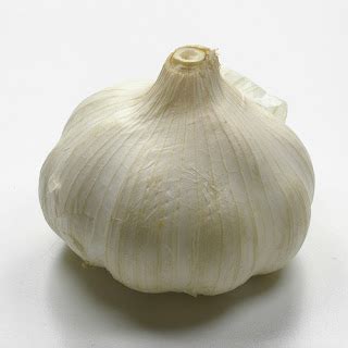 Czosnek Naturalny Antybiotyk Wikirose Blog