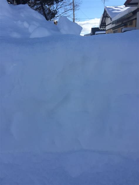 函館の魅力をあなたに 雪が降りました