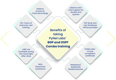 OSPF BGP Combo Training Course Online PyNet Labs