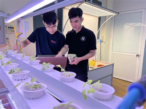 Thực tập doanh nghiệp Trải nghiệm công việc thực tế và cơ hội nghề nghiệp cho sinh viên ngành