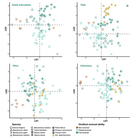 Results Of The Four Leave One Out Cross Validated Linear Discriminant Download Scientific