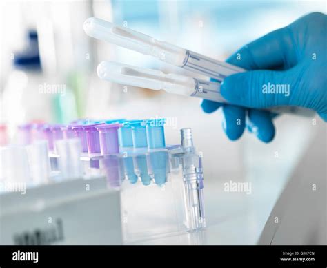 Scientist Preparing A DNA Swab For Analysis In A Laboratory For
