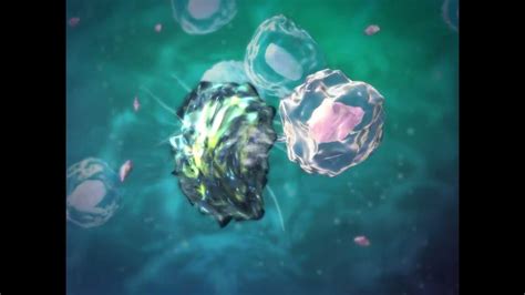 淋巴系统概述三维立体动画演示 人体解剖学an Overview Of The Lymphatic System In 3d Animation Humananatomy Youtube