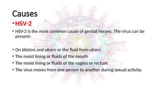 Genital Herpespptx Std Medical And Surgical Ii Pptx