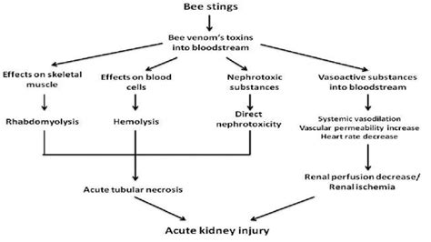 Bee Sting Management Pptx