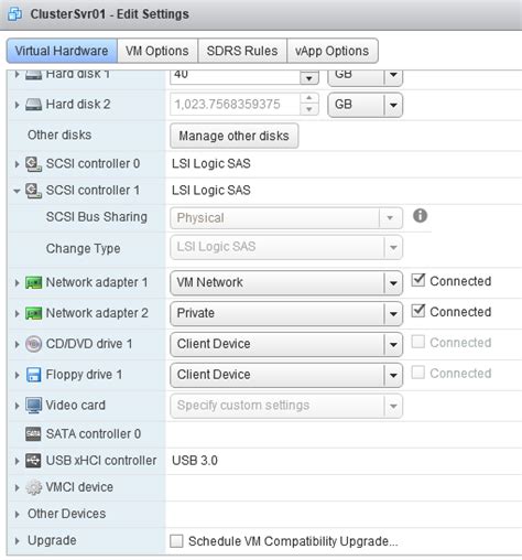 Windows Server Failover Clustering In The VSphere Environment VMware VSphere