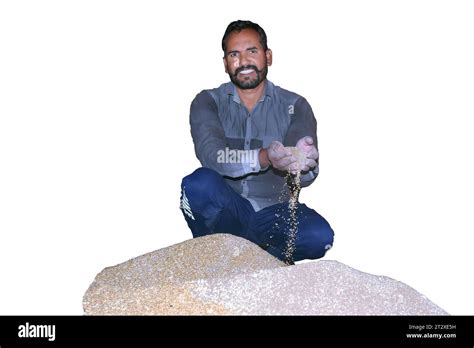 Indian Farmer Mixing Fertilizer To Wheat Before Sowing Treated Wheat