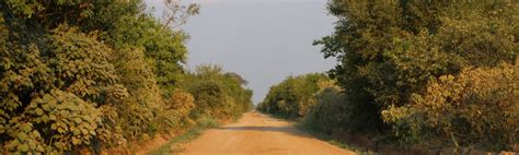Parque Nacional Gran Chaco Del Kaa Iya In Bolivia