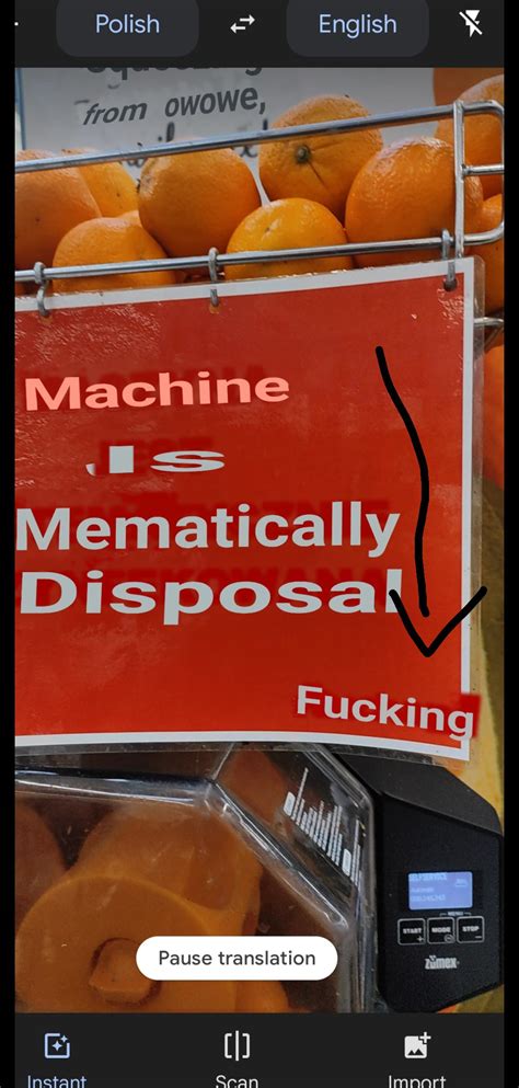 Do Not Translate Auchan In Google Translate R Poland