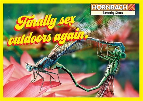 This Insect Sex Ad Will Have You Squirming In Your Seat Creative Bloq