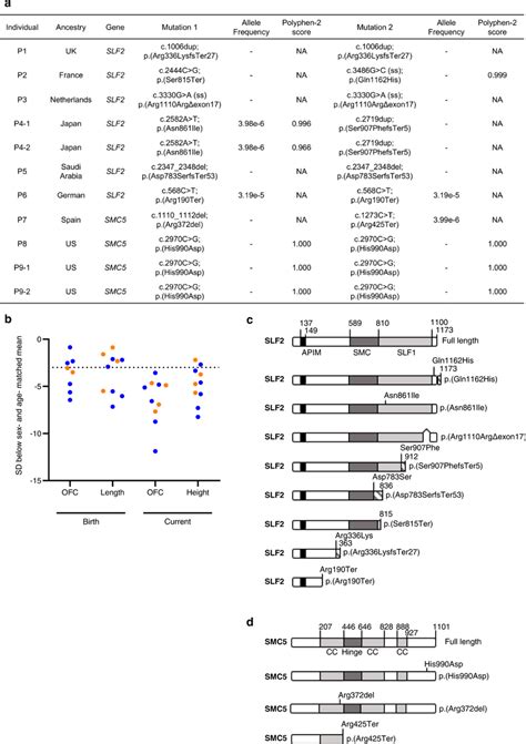 slf2 and smc5 variants cause severe microcephaly and short stature a