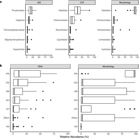 Comparison Of Major Taxonomic And Functional Groups Detected Across Download Scientific Diagram