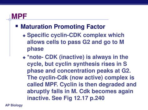 Regulation Of Cell Division Ppt Download