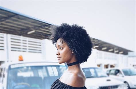 South African Model