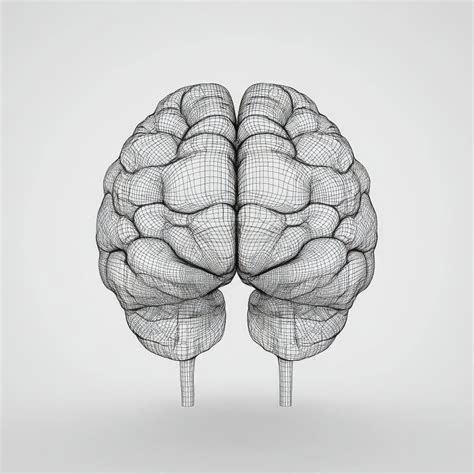 A Futuristic Mind Structure Is Visualized As A Digital Brain Wireframe With A Neural Network