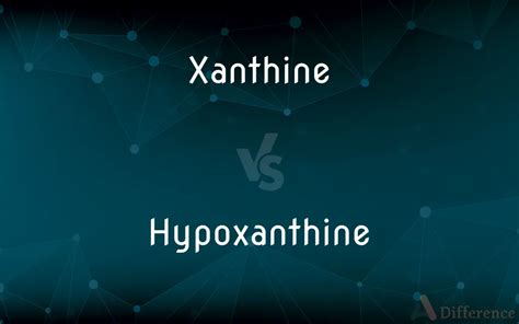 Xanthine Vs Hypoxanthine — Whats The Difference