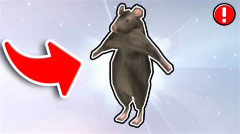 Content Deleted Roblox