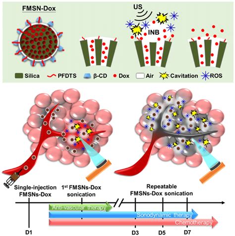 Interfacial Nanobubbles Inbs Are Accumulated At The Superhydrophobic Download Scientific