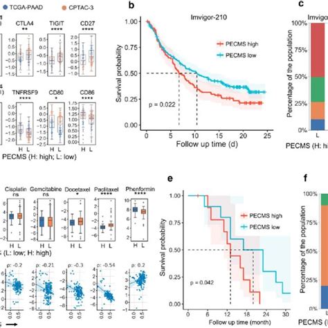 Tcga Paad Patient Clustering Based On Pancreatic Cancer Matrix A