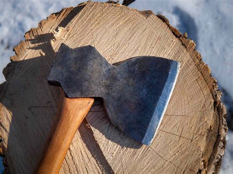 20 Types Of Axes Every Homeowner Should Know