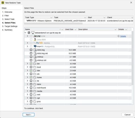 5 1 0 VMware Single File Restore SEPsesam