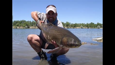Former World Record Grass Carp Igfa All Tackle Length Record Youtube