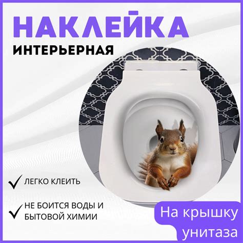 Наклейка интерьерная на унитаз Белочка купить по выгодной цене в