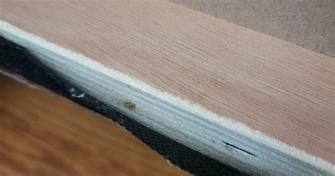 Comprehensive Bed Bug Eradication In Mississauga On Brilliex Pest