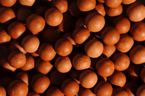 Benefits Of Zeolite In Aquaculture Uses And Application Methods