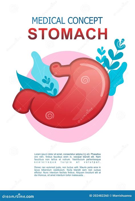 Internal Organs Medical Poster Concept Stock Vector Illustration Of