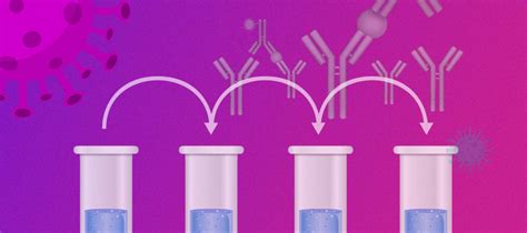 Serial Dilution Method In Elisa How And What Hudson