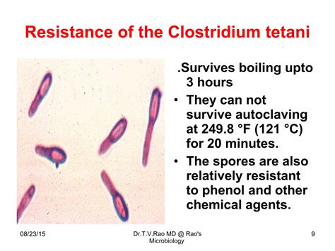 Tetanus Teaching Basics Ppt