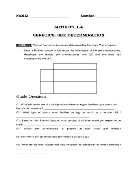 Determining Sex A Genetic Exploration Of Sex Chromosomes And Their