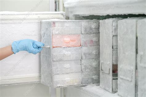 Laboratory Freezer Stock Image F0323912 Science Photo Library