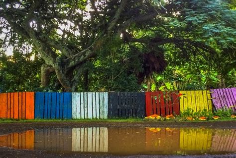 14 Wood Pallet Fence Ideas Anyone Can Build Home Design Garden