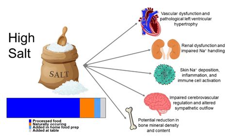 The Dangers Of High Salt Intake What You Need To Know